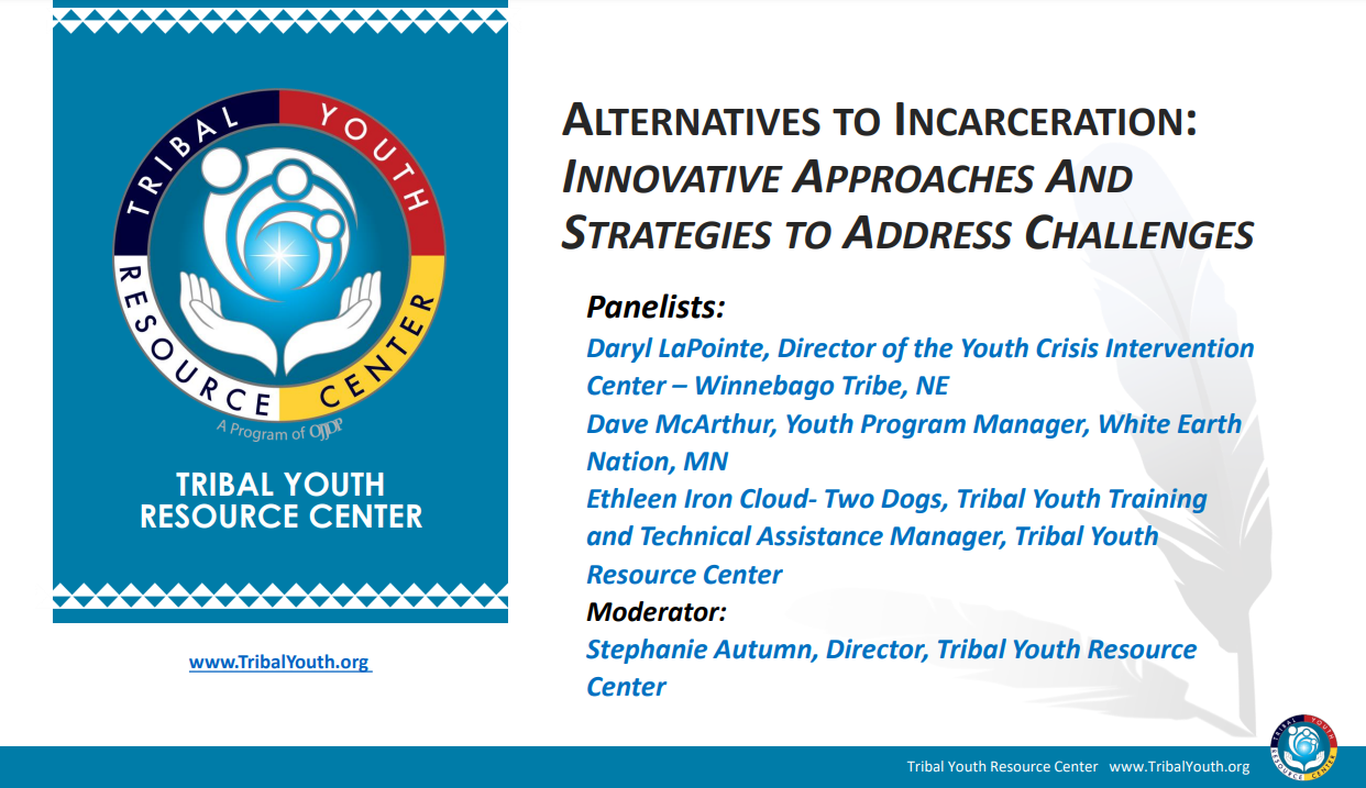 E1: Alternatives to Incarceration: Innovative Approaches, Strategies to ...